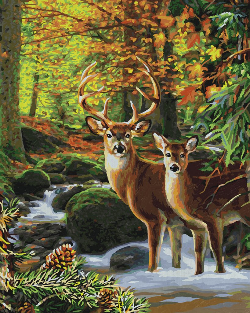 Hirsche im Wald - Malen-nach-Zahlen-Katalog